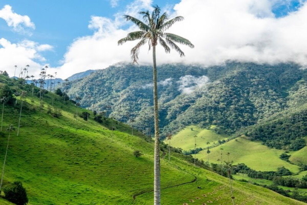 Circuit Immersion en Colombie (Colombie)