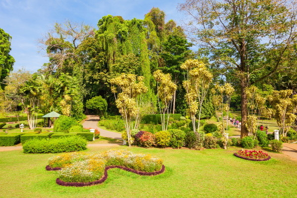 Hôtel Riu Dubai 4* + Sri Lanka : L'Ile Merveilleuse 3* - 7 nuits Dubai ...