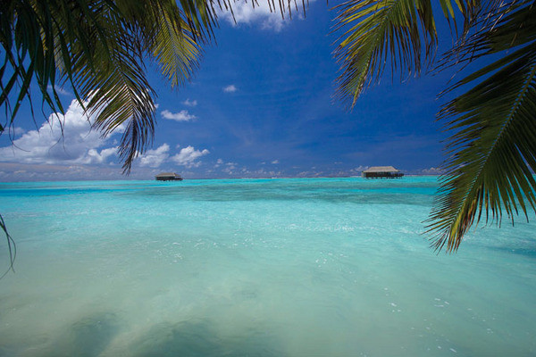 Hôtel Medhufushi Island Resort Atoll de Meemu Maldives