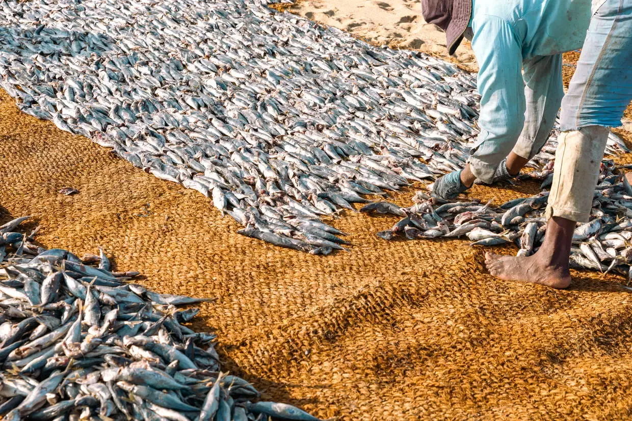 Hôtel Intense Sri Lanka (privatif) & plage au Fram Sélection Riu Sri ...